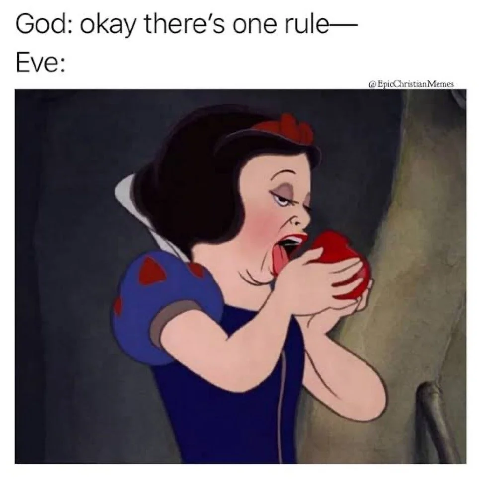 about — youngmi mayer