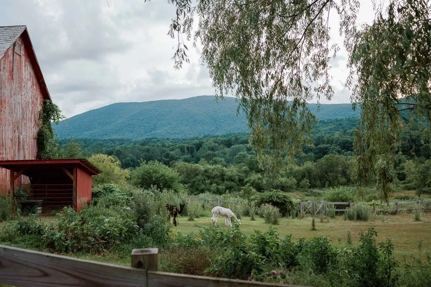 A Chic Vermont Farm Wedding