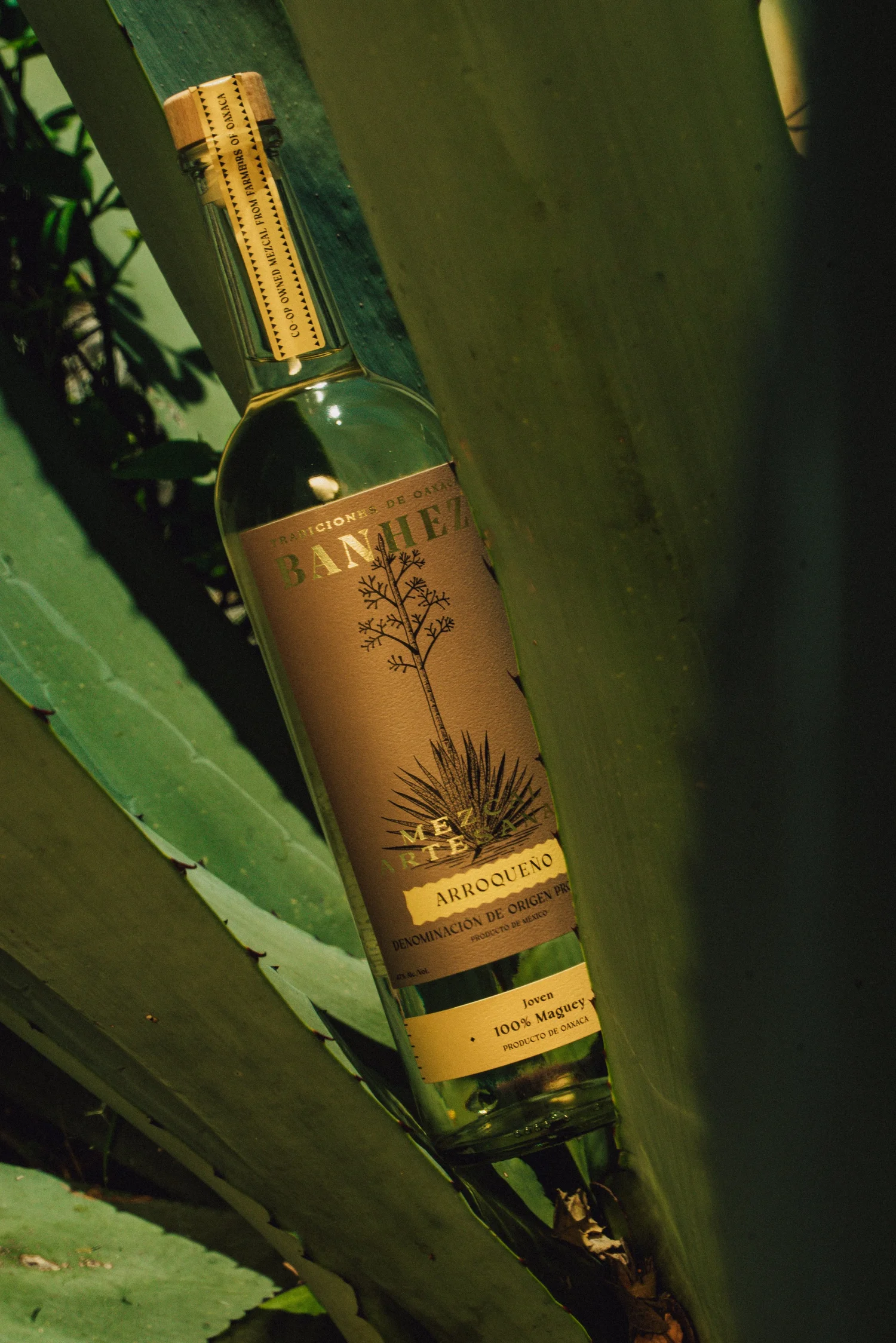 ARROQUEÑO — BANHEZ MEZCAL