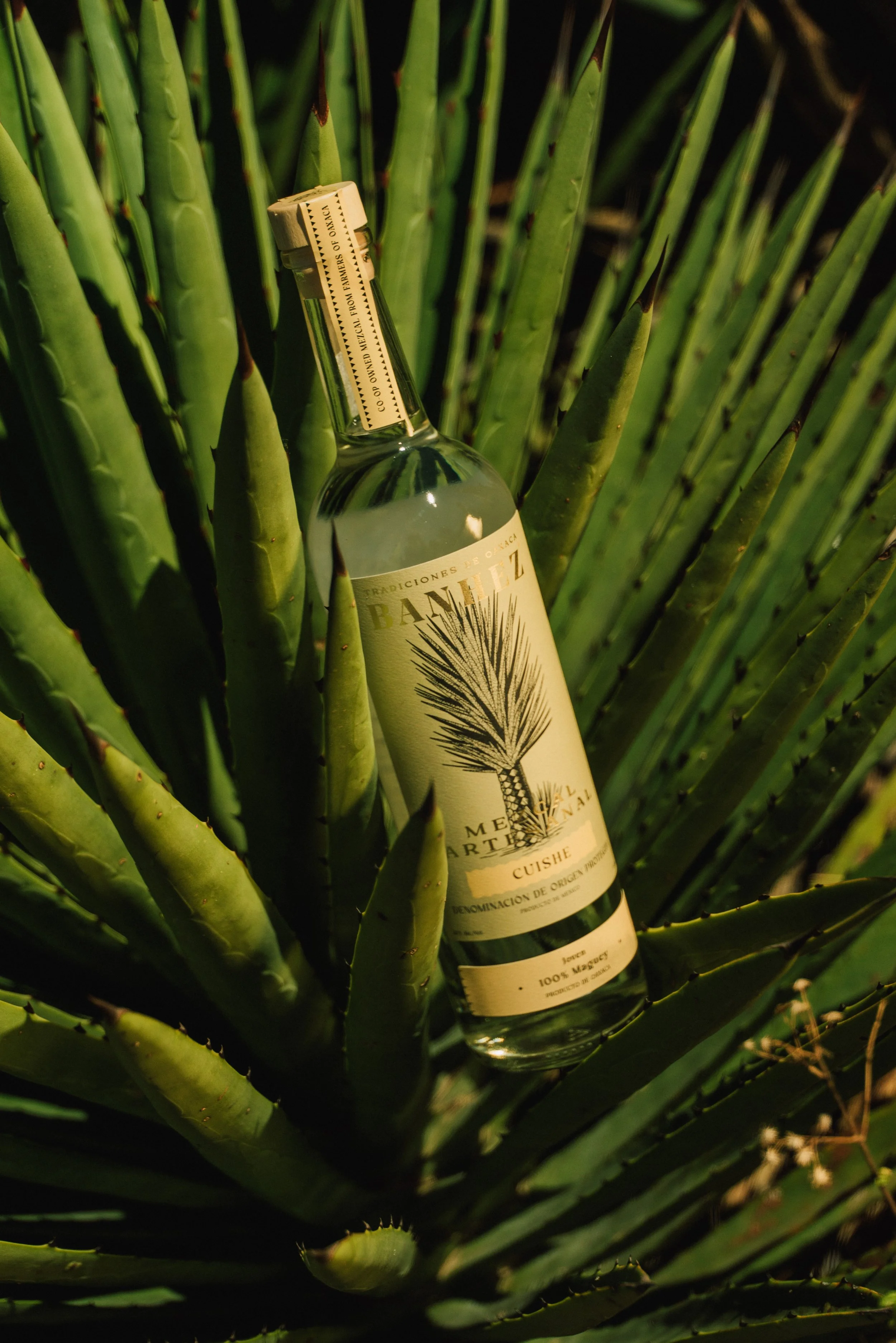 CUISHE — BANHEZ MEZCAL