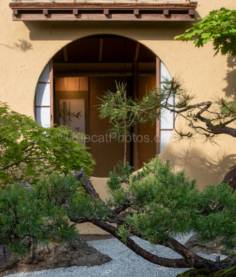 Chelsea Flower Show 2025 — Kipcat Photos - garden and landscape photographs