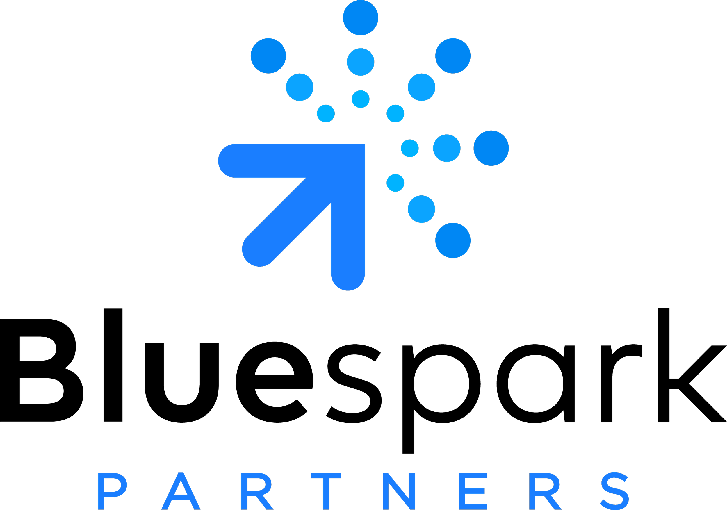 Home [www.bluesparkpartners.com]