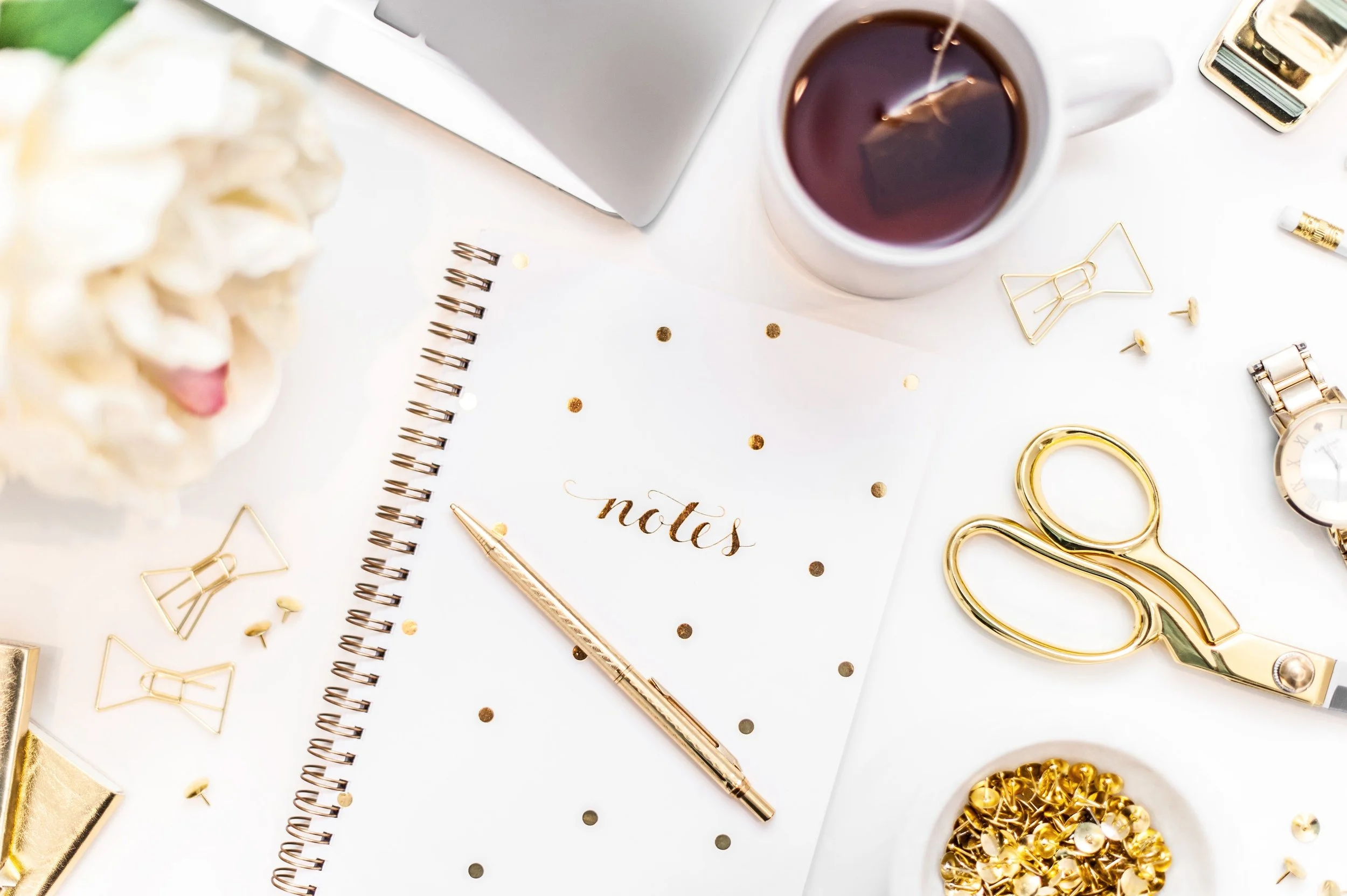 Podcast — Pro Organizer Studio