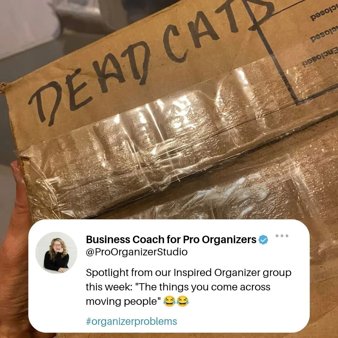 The Ultimate Guide To Your Professional Organizing Toolkit (+ Free ...