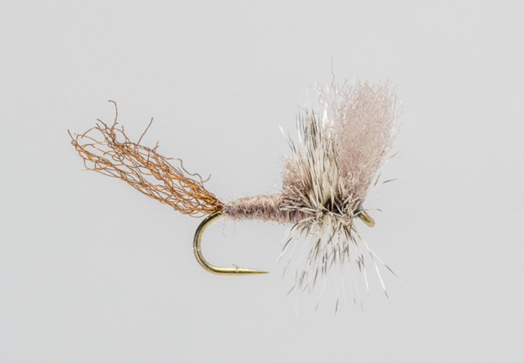 The 10 Most Important Missouri River Flies for Fall — Headhunters