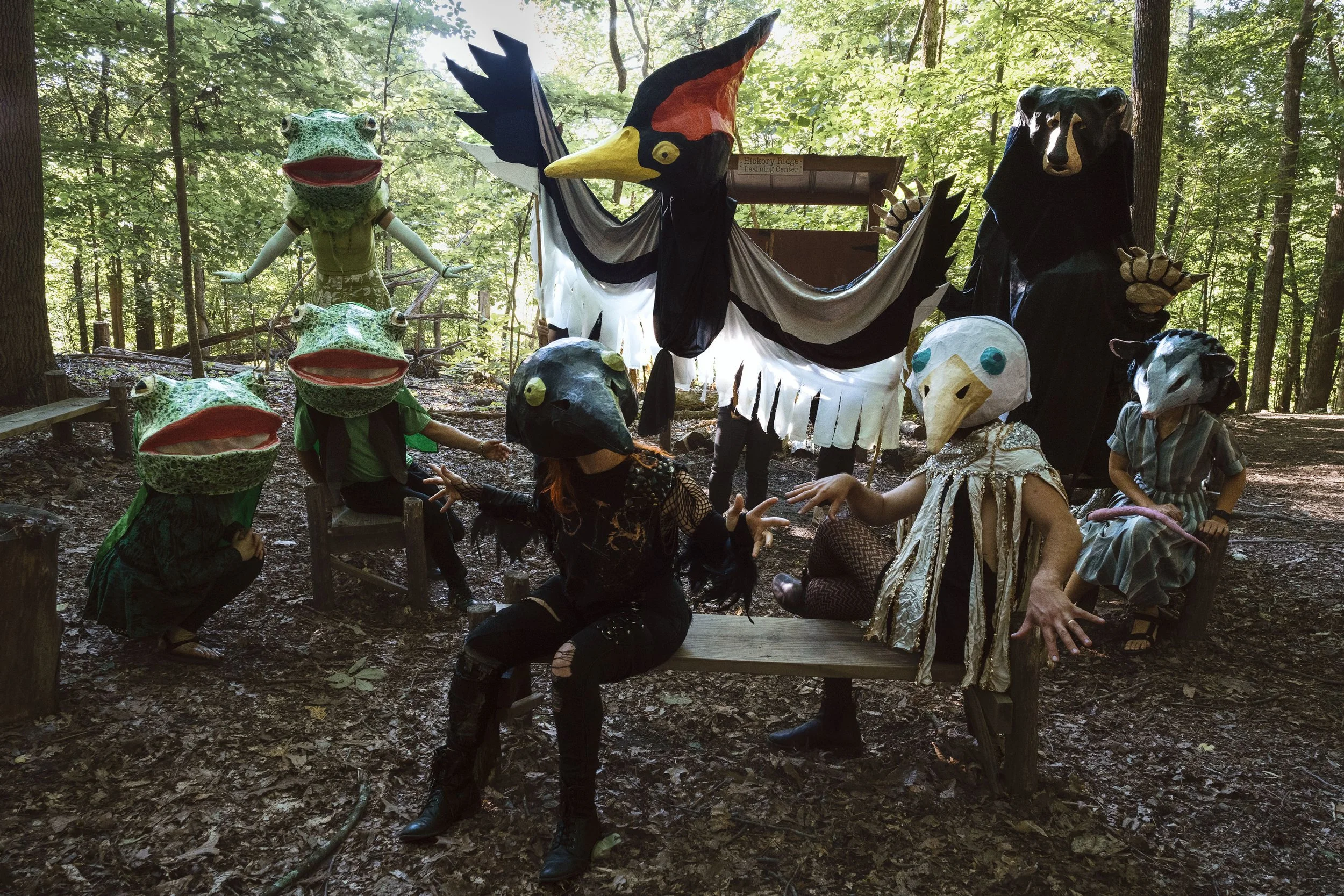 Our Story — Cattywampus