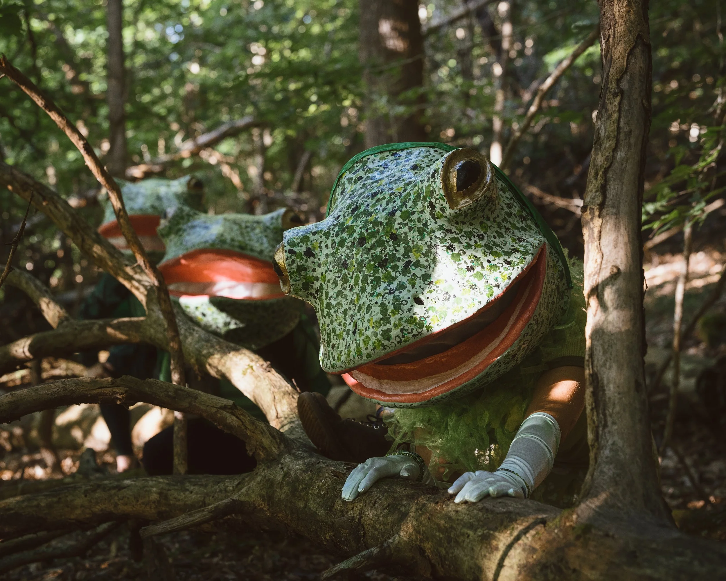 All Programs — Cattywampus