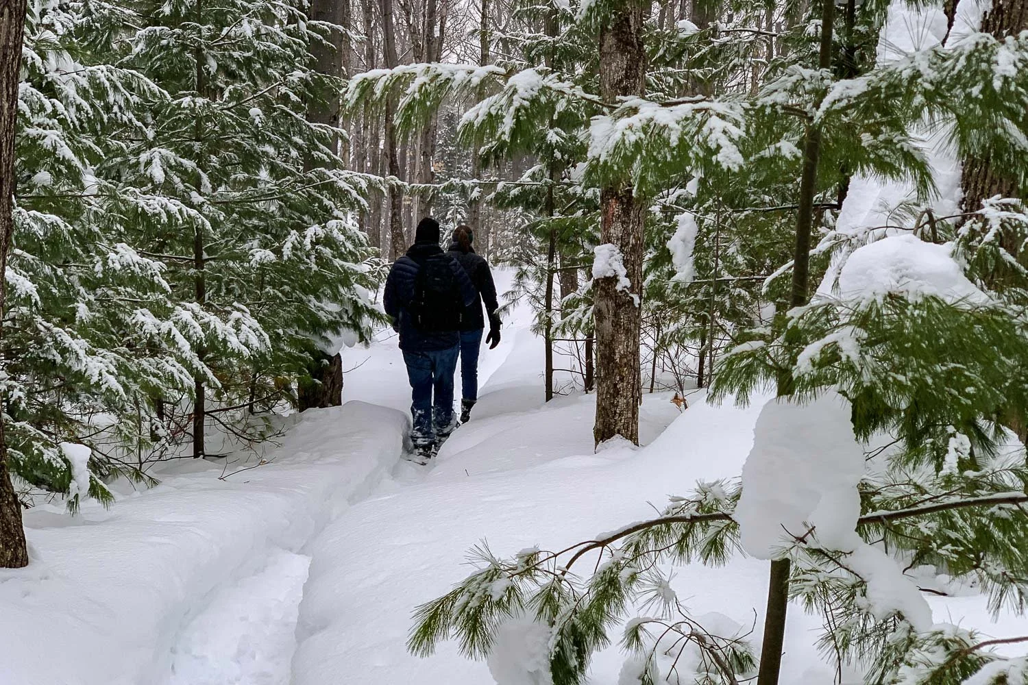 Snow Fun: Skiing, Snowshoeing, Ice Climbing and More in and around ...