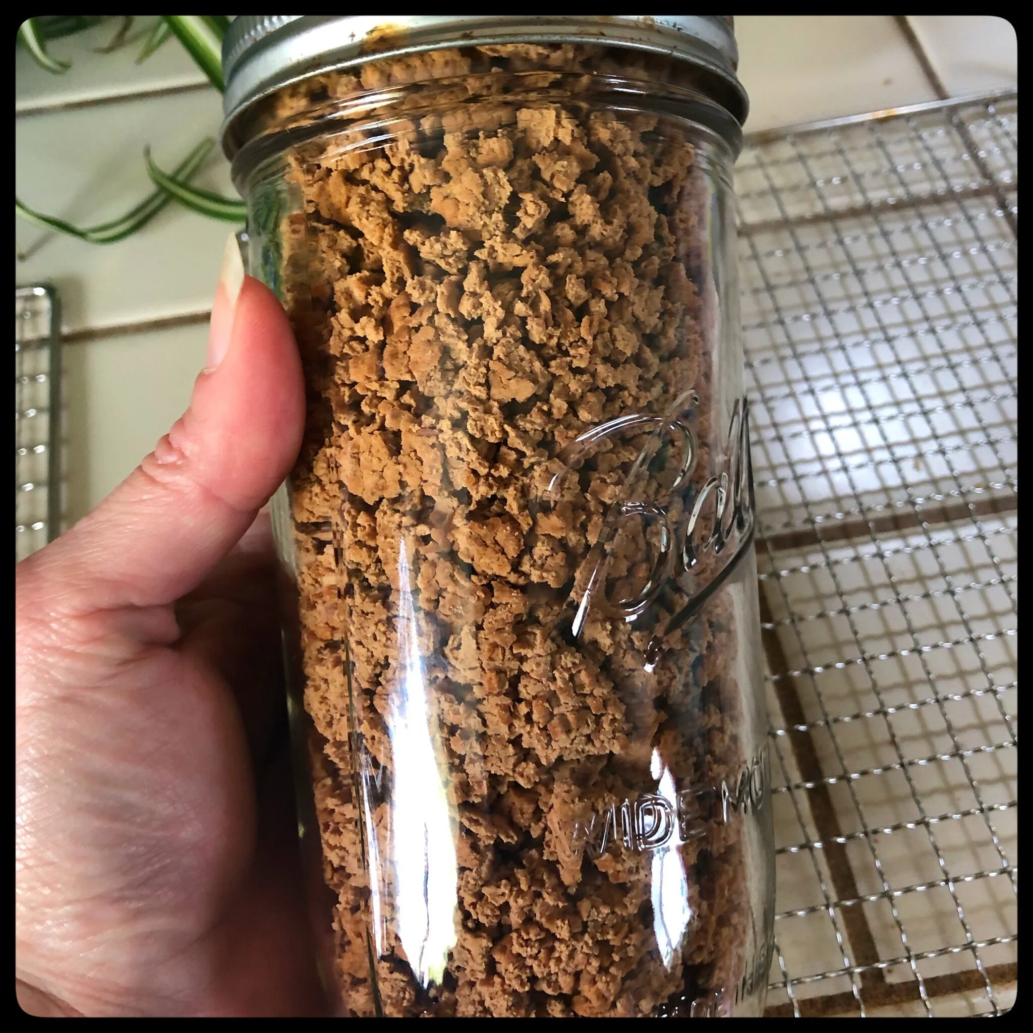 Homemade Backpacking Meals- Beans and Rice Part 1 — Cult Of The Wild