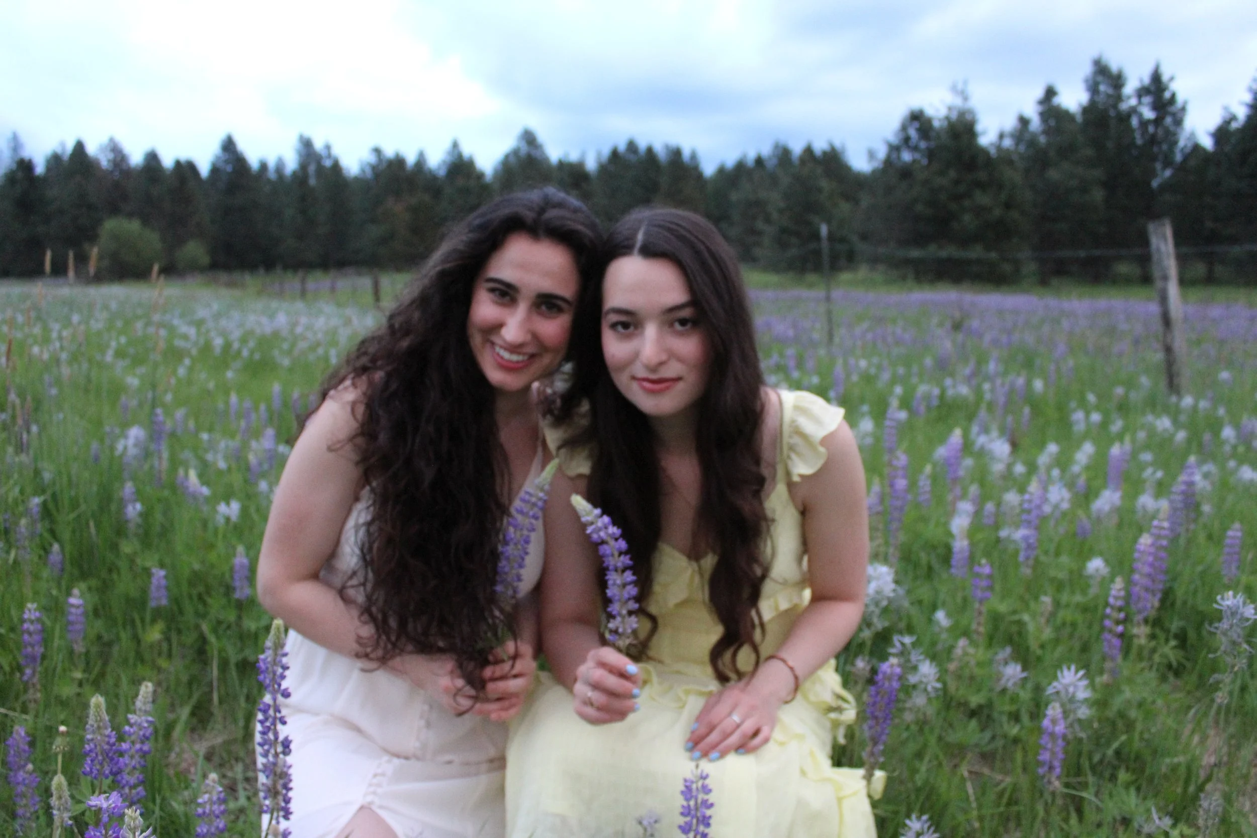 Riverstone Summer Concert Series — Arts and Culture Alliance