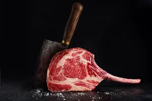Australian Carnivores