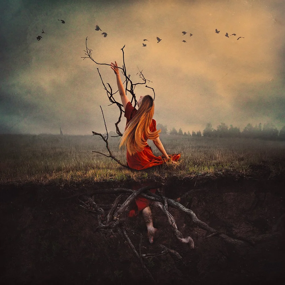BROOKE SHADEN