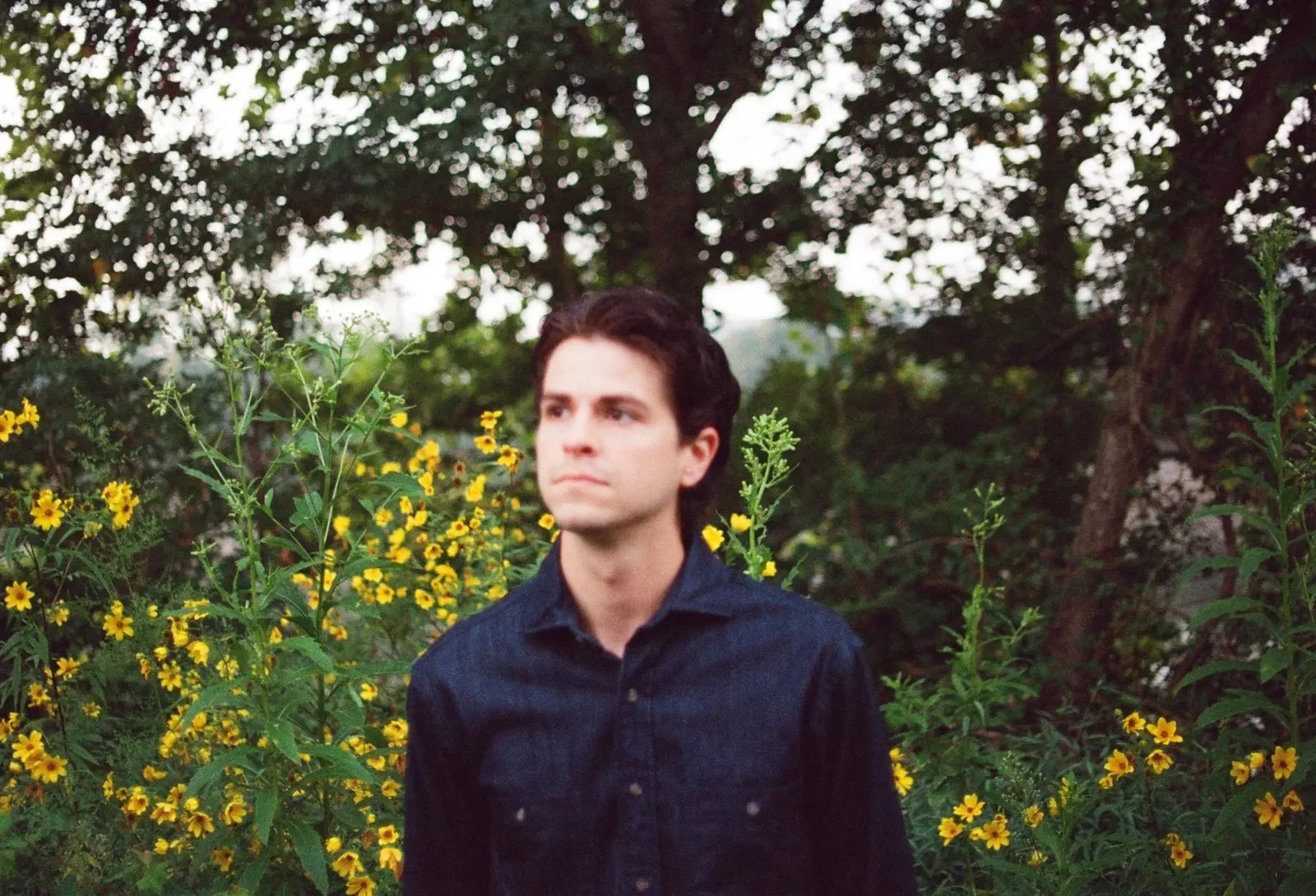 Introducing: Luke Gard — Background Animal