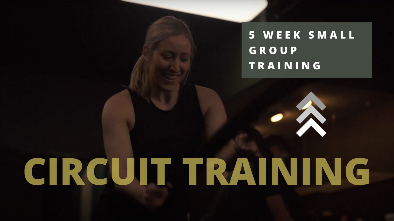 Small Group Circuit Training Classes Buffalo — Village Performance Center