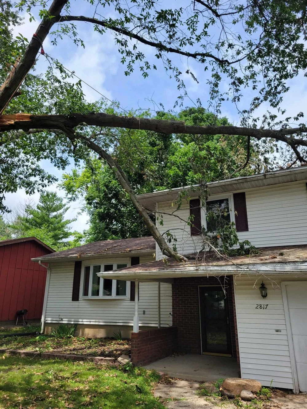 Total Tree Service | Tree Care & Removal Pontiac, IL