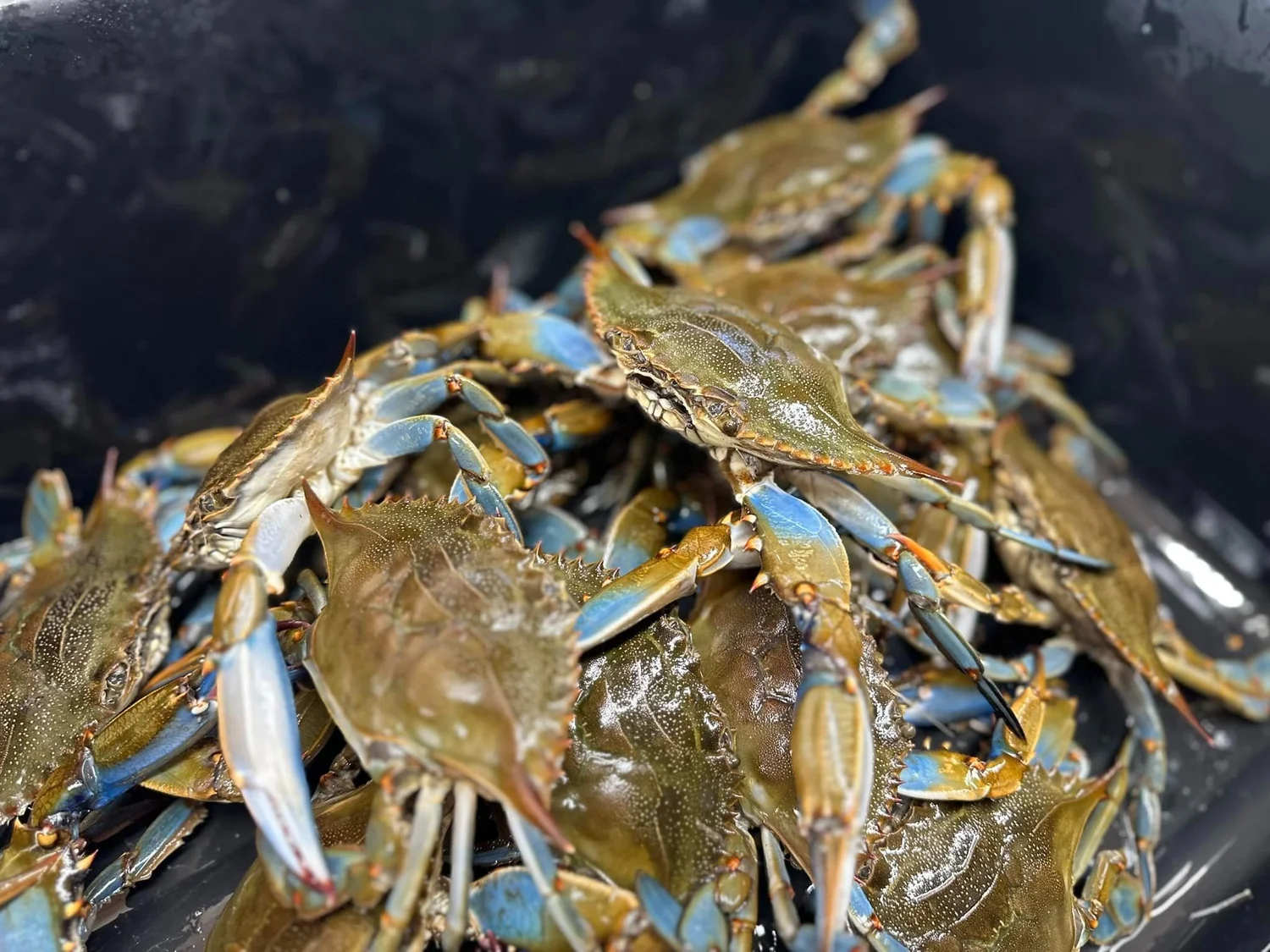 Front Street Fish Co.