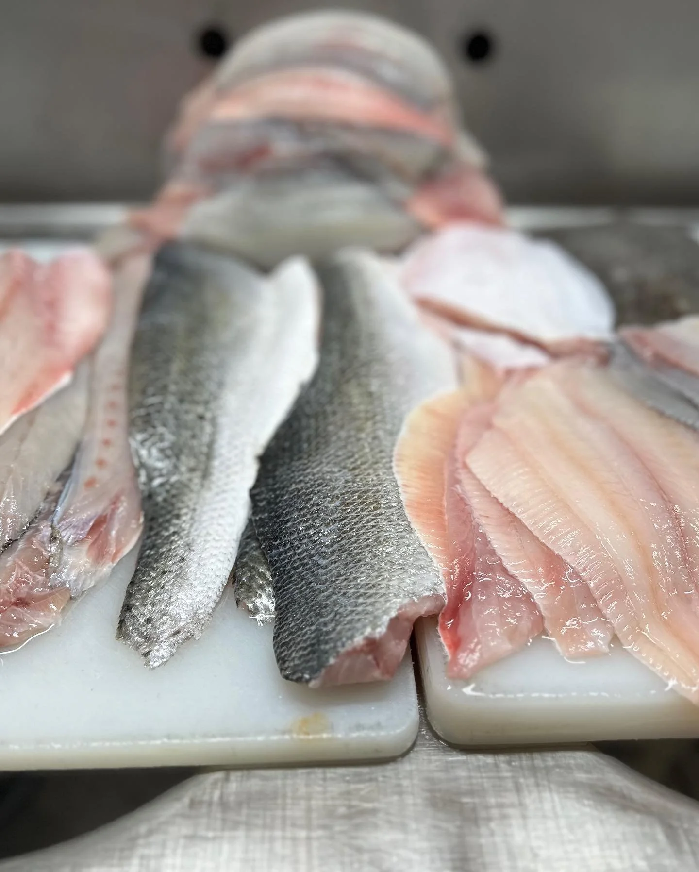 Front Street Fish Co.