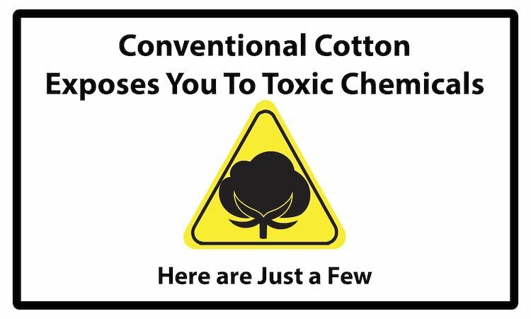 Toxic Chemicals in Conventional Cotton You Should Know about — Gallant