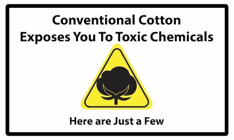Toxic Chemicals in Conventional Cotton You Should Know about — Gallant