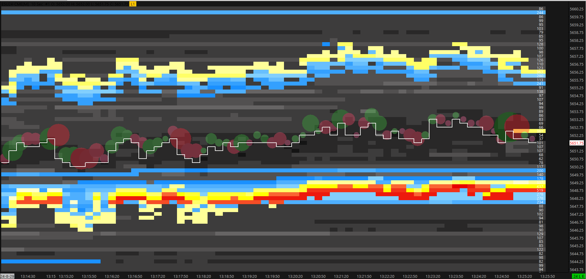 Bookmap Style Chart — Price Action Volume Trader