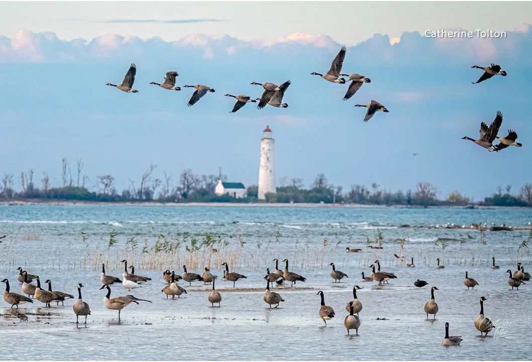 Historical Boat Tour to Island — Marine Heritage Society :: Southampton ...