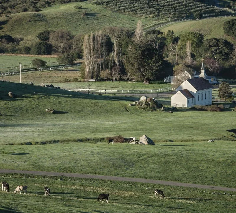 TOWN — Nicasio