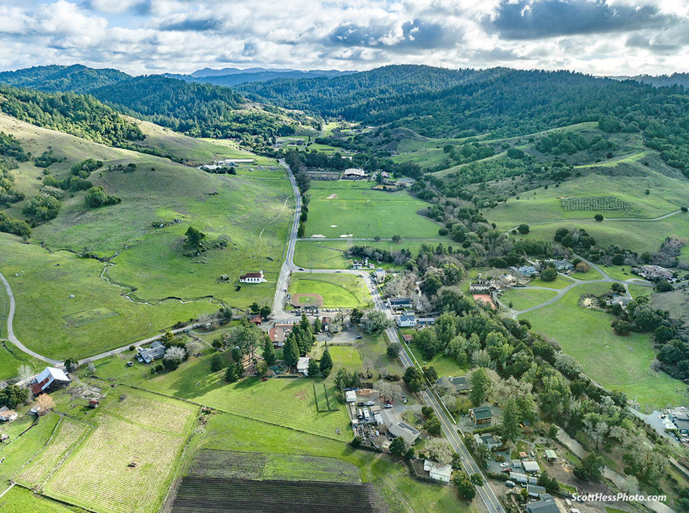 Nicasio