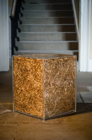 Farm 21 — Sasha Sykes Studio