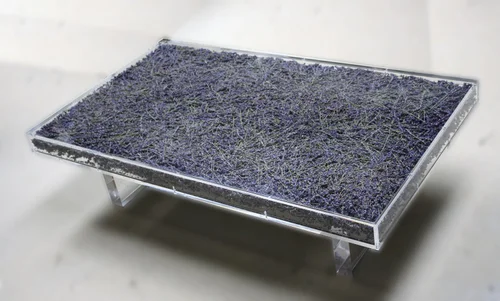 Farm 21 — Sasha Sykes Studio