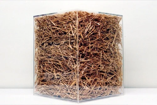 Farm 21 — Sasha Sykes Studio