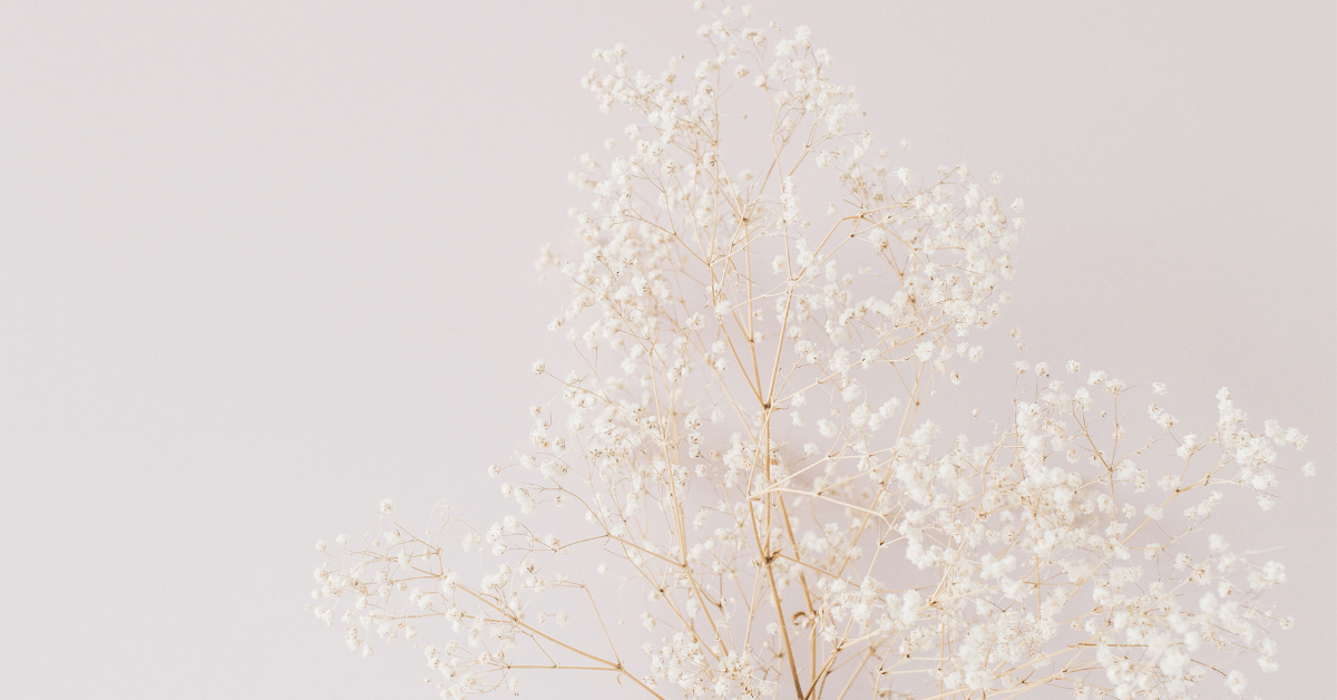 Understanding the Trademark Registration Process — Storylock Legal