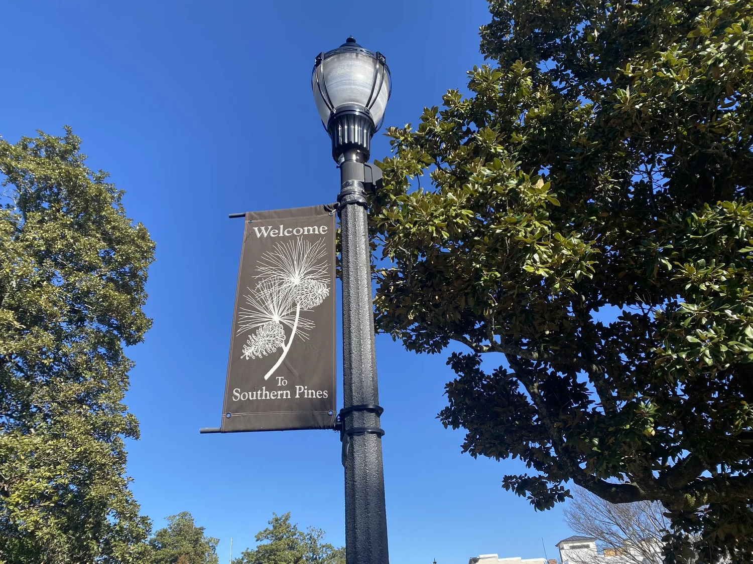 Pines Accounting Services