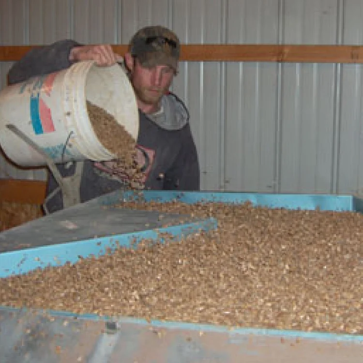 Procurement & Production — Better Forest Tree Seeds