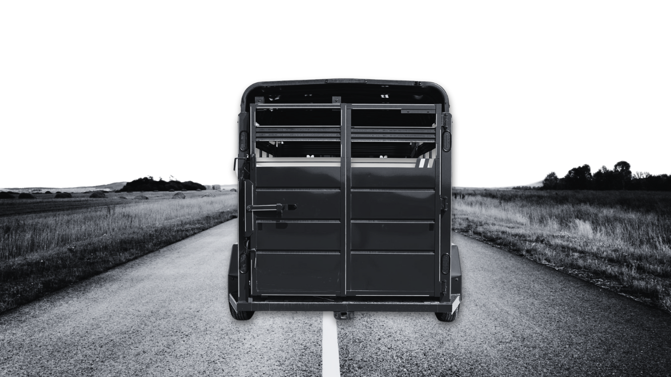 The NATM Trailer Expo