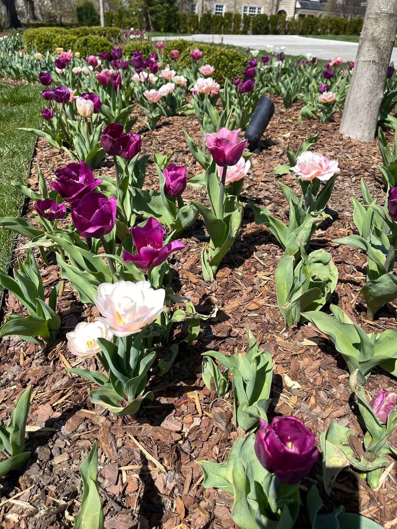 Resources | Landscaping in Dublin, Lewis Center, OH (Ohio) | Rine ...
