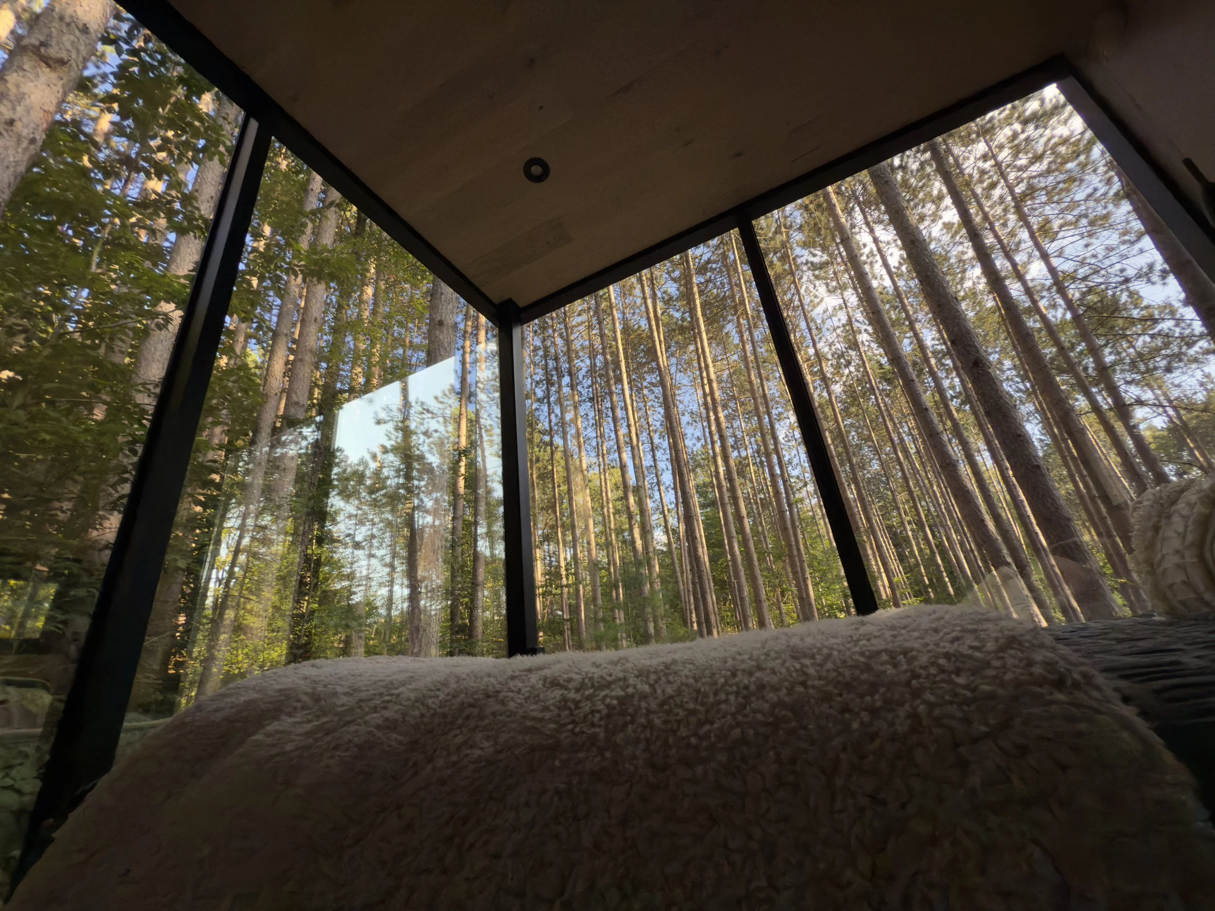 Glamp Michigan: Luxury Glamping Domes in Michigan