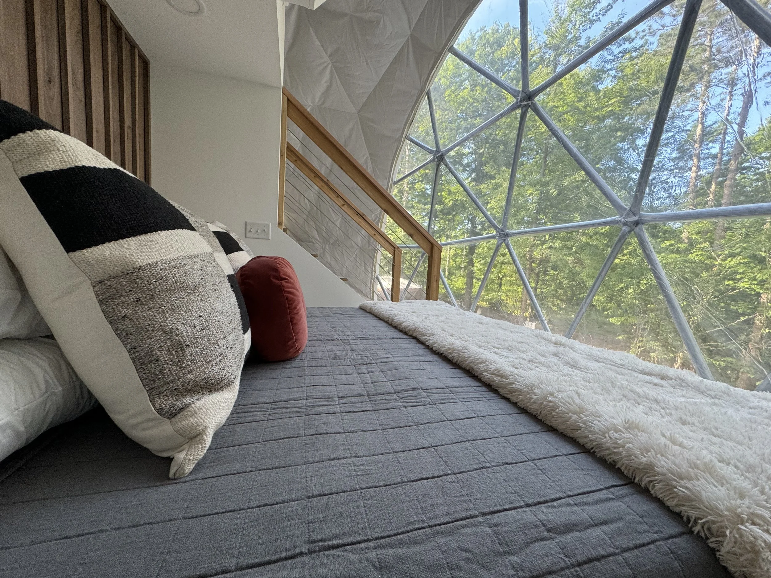 Glamp Michigan: Luxury Glamping Domes in Michigan