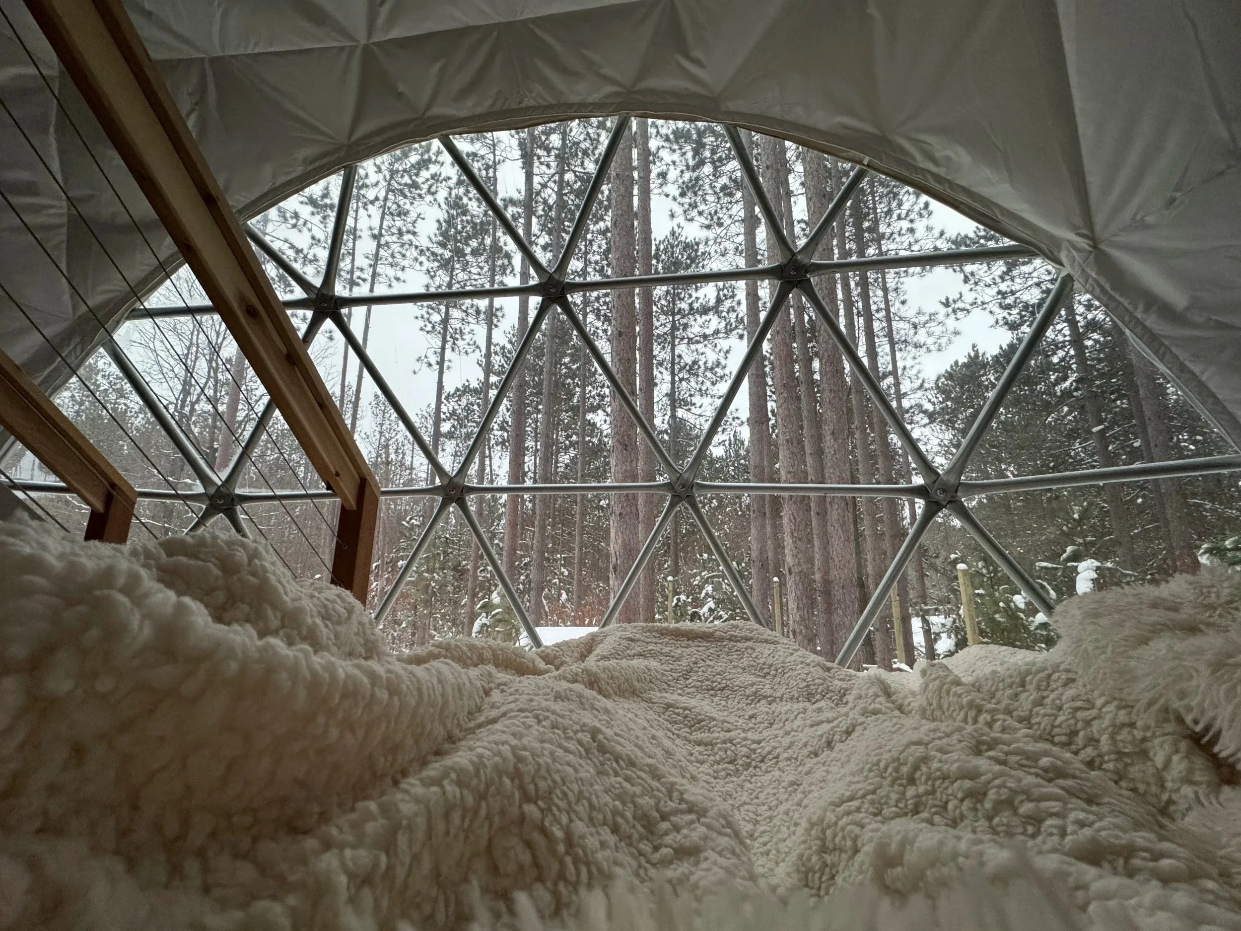 Glamp Michigan: Luxury Glamping Domes and Mirror Homes in Michigan