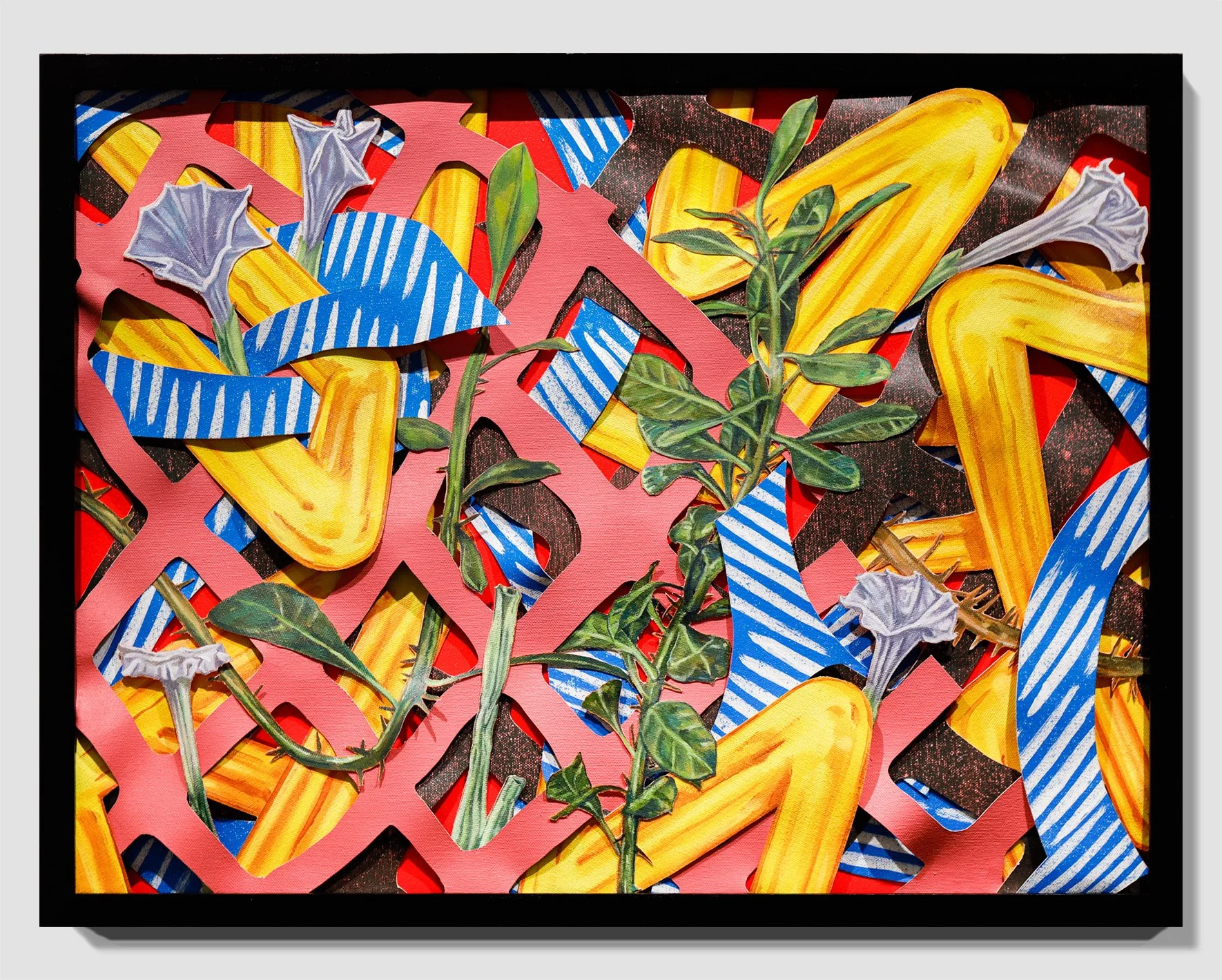 GALLERY — NDA