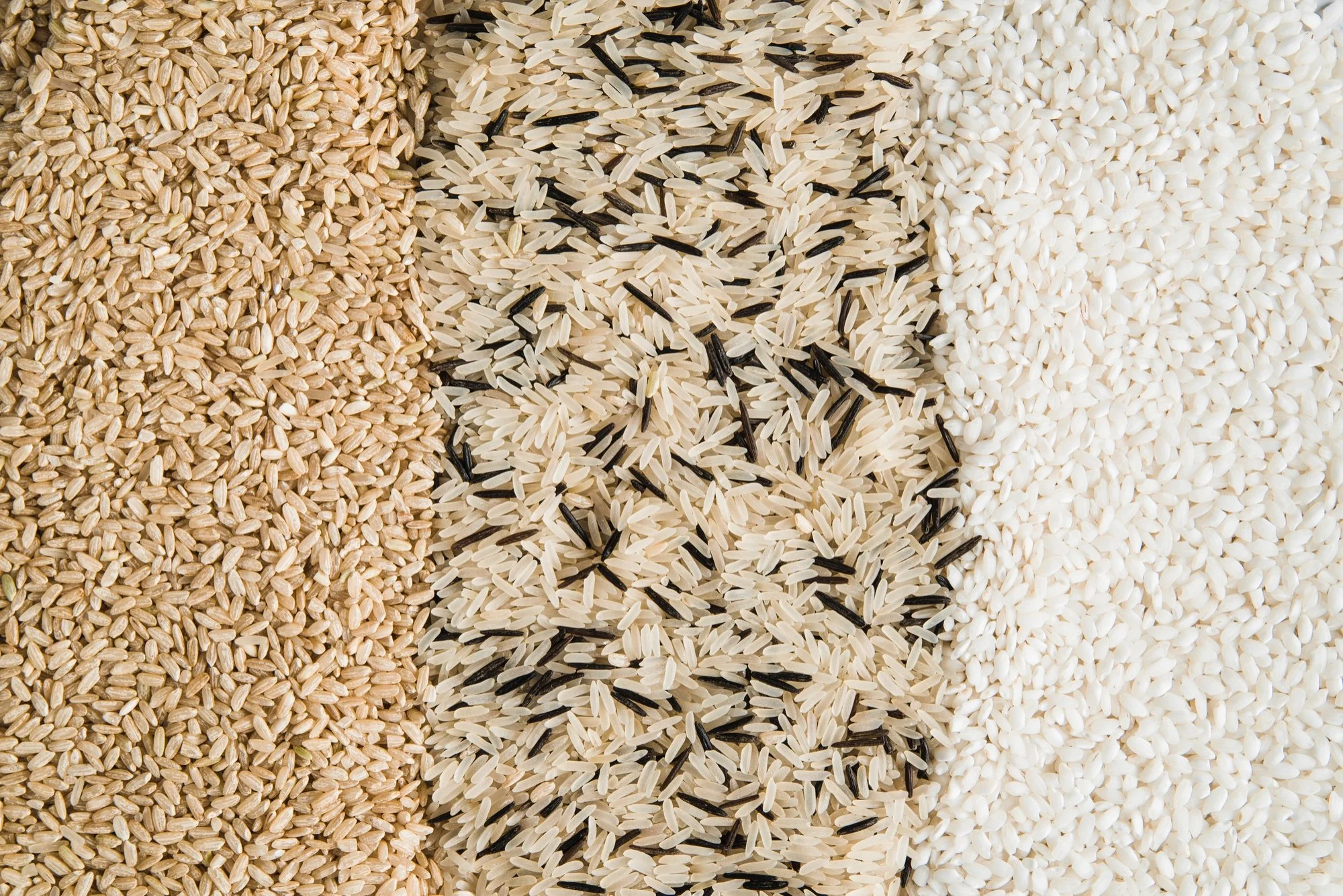 Exploring Rice Husk Biomass: A Comprehensive Guide — nvend