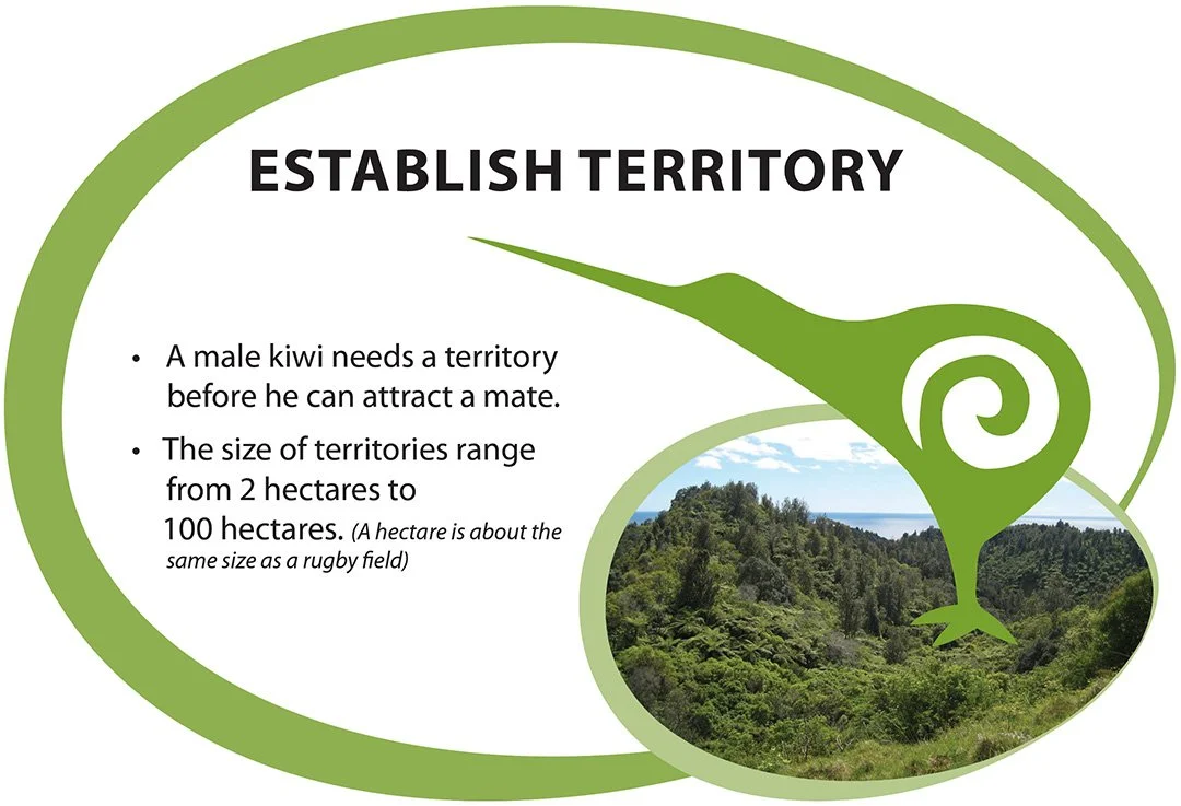 Whakatāne Kiwi Trust