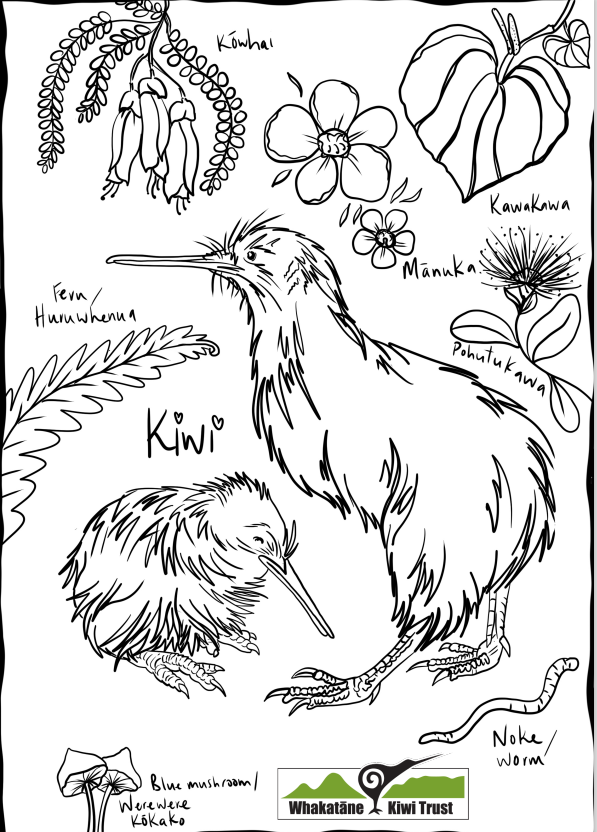 Whakatāne Kiwi Trust