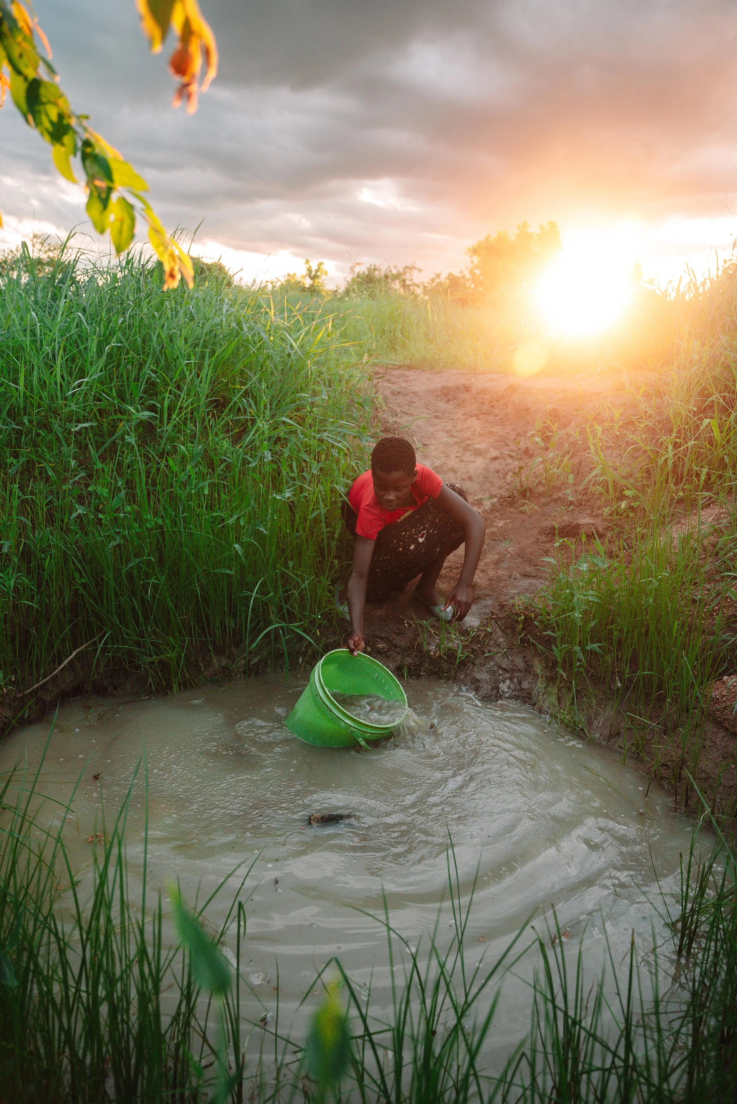 Springs of Salvation