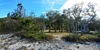 GTM River To Sea Preserve Trail Walk — STA Marketing & PR