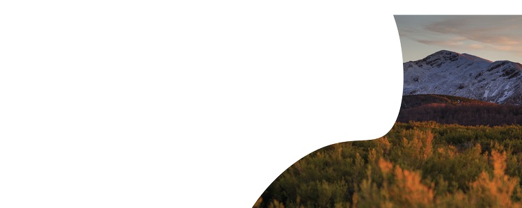 Services — Oxbow Center