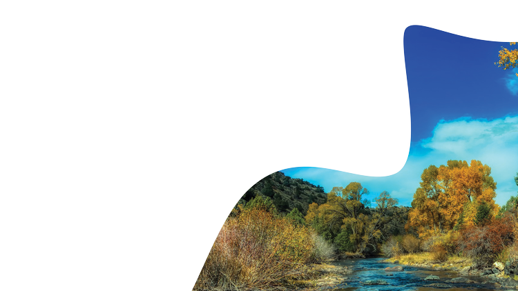 About Us — Oxbow Center