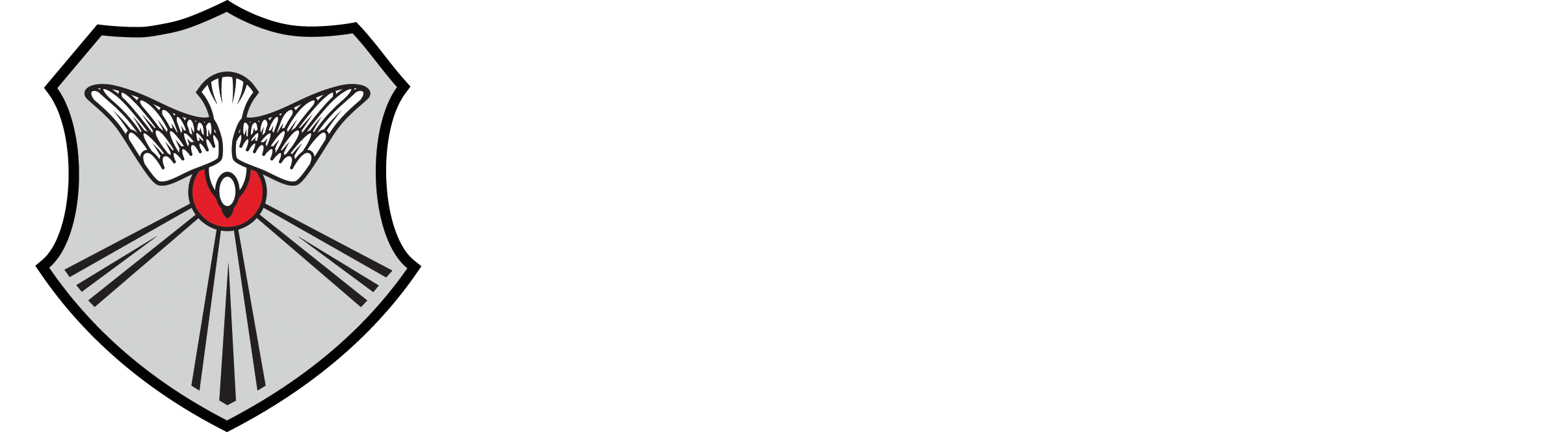 Holy Spirit Athletics - Join the Falcons Sports Programs in Louisville ...