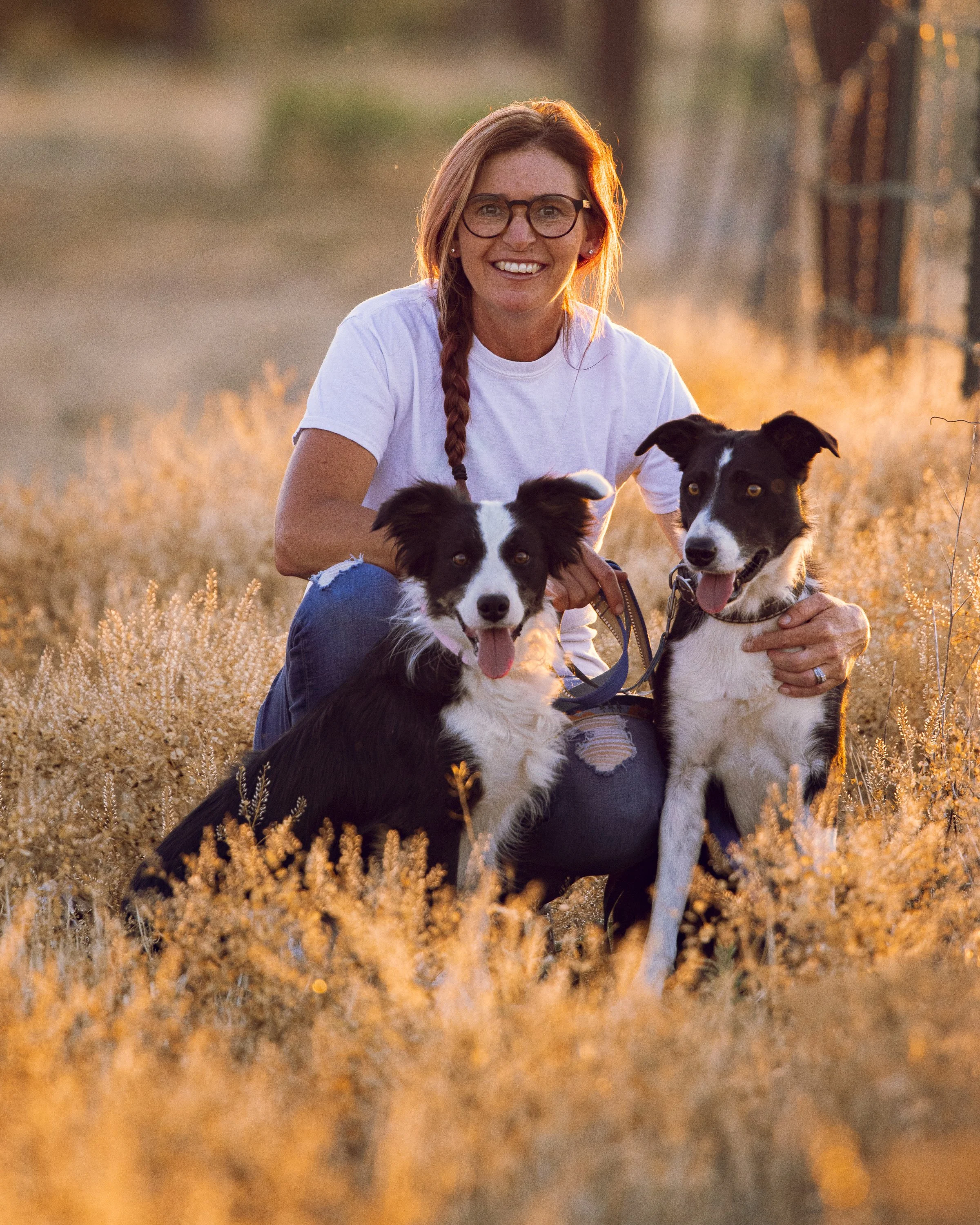 One-on-One Dog Trainer Mentoring | Western States K9 College — Western ...