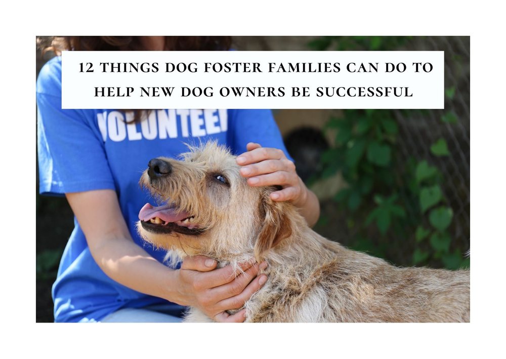 12 Foster Dog Tips to Help New Owners Succeed | Adoption Transition ...