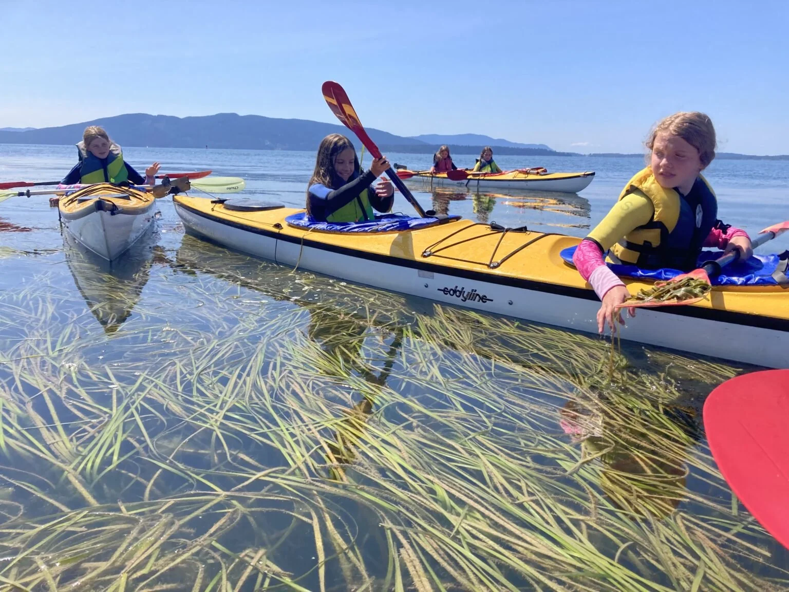 Youth Sailing Camps in Bellingham Bay | Sea Star Programs — Community ...